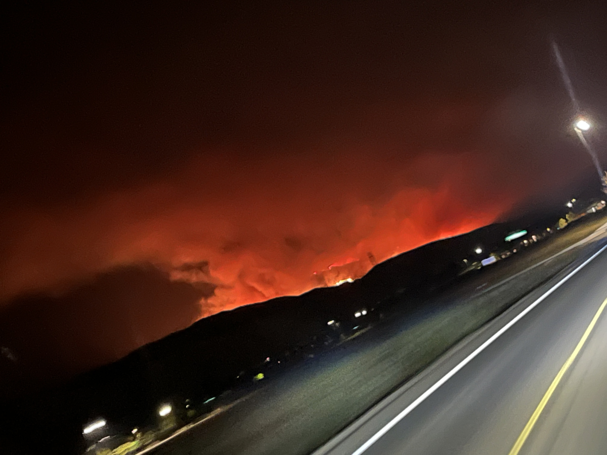 Wildfires Ravage Treasure Valley – The Timberline Paw Print